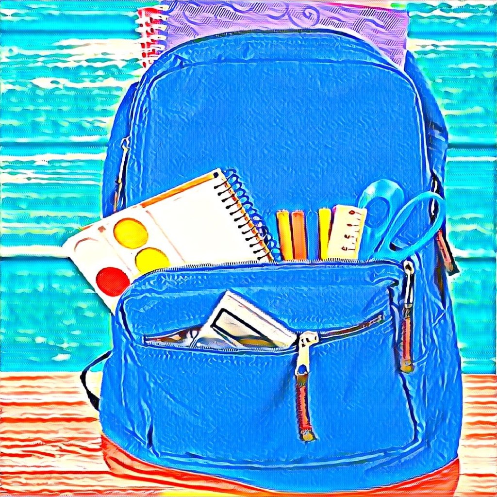 ¿Cómo se forma un animador/a? – El caso Pablo